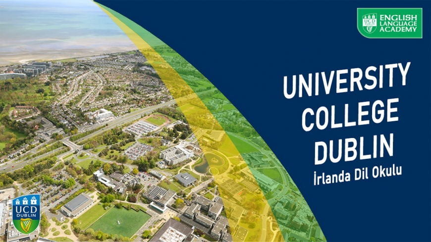 UCD Dil Okulu - Eğitim İrlanda