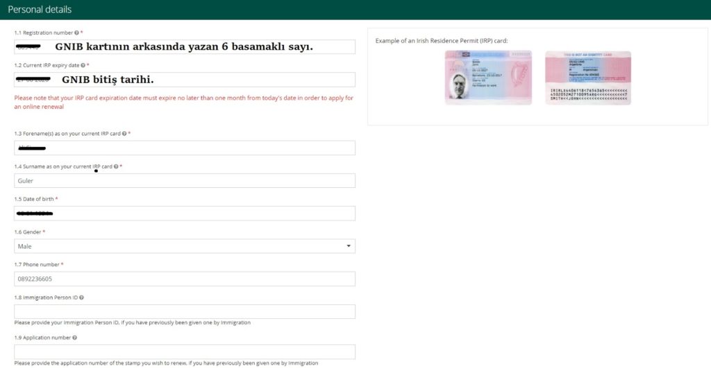 İrlanda Online GNIB Yineleme - Eğitim İrlanda