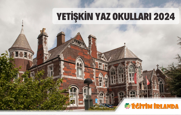 Yetişkin Yaz Okulları - 2024 - Eğitim İrlanda